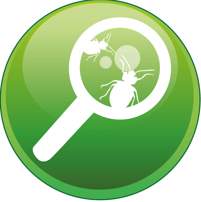 Insektenmonitoring